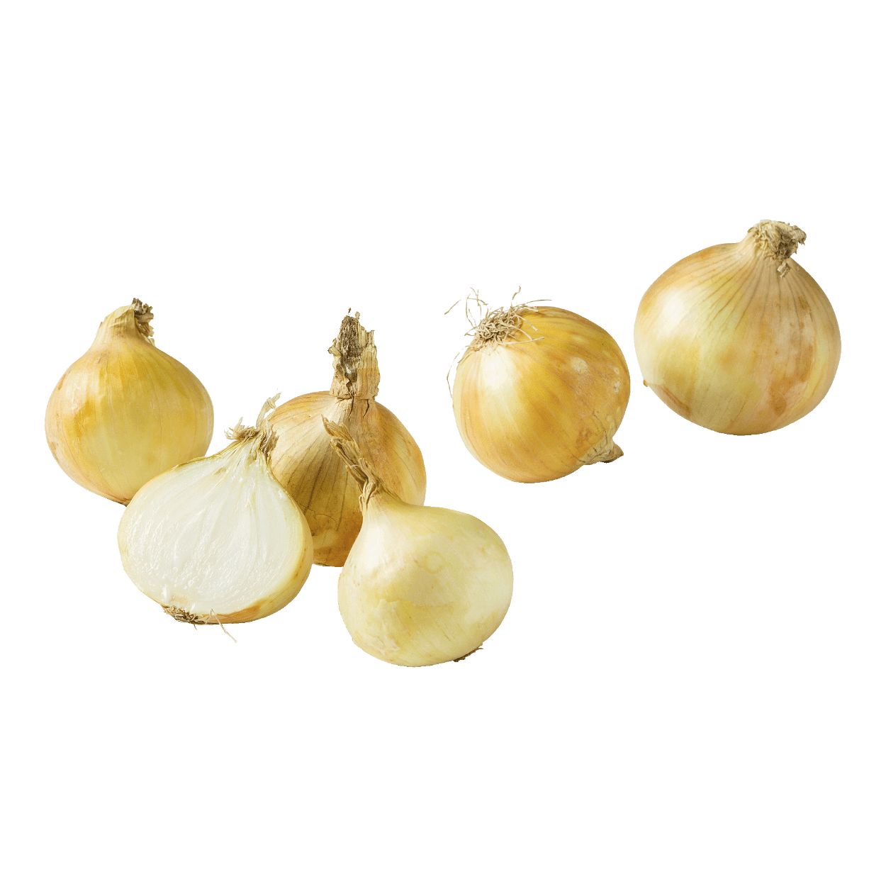 Oignons bon marché chez ALDI