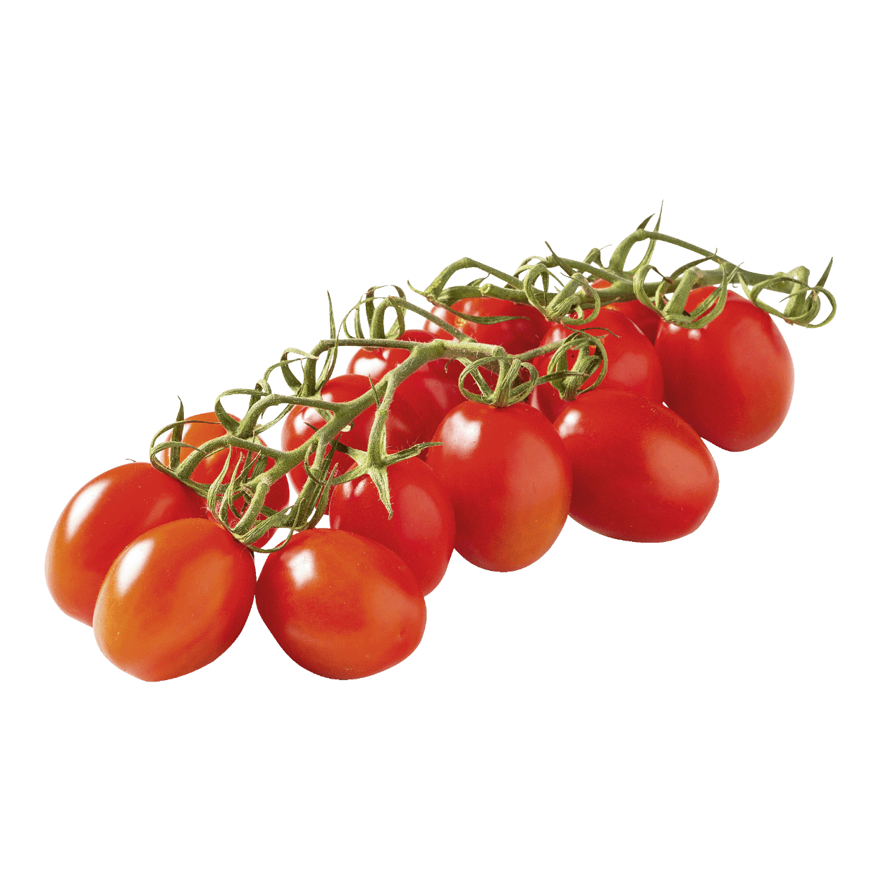 Mini-Roma-Strauchtomaten günstig bei ALDI