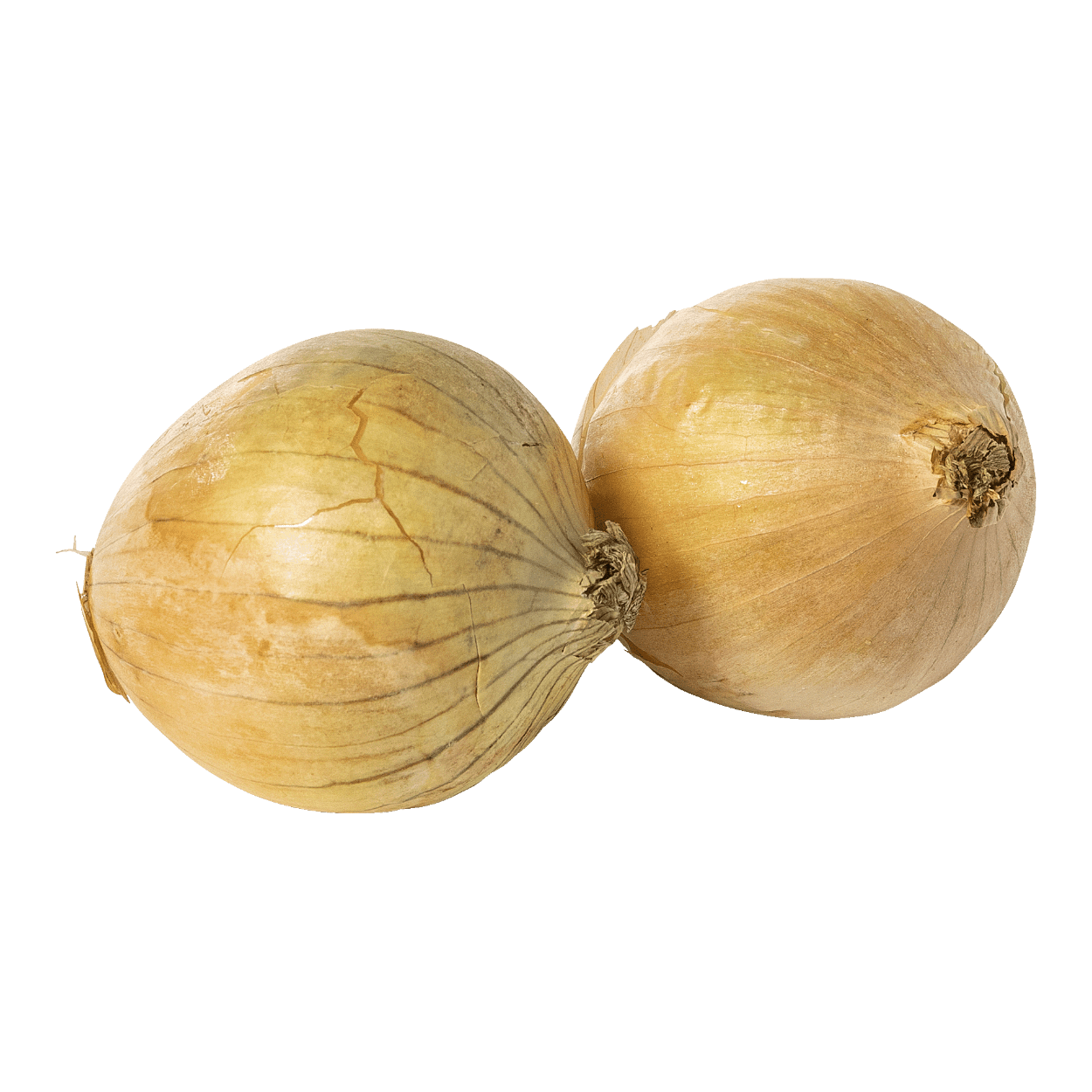 Oignons, 2 pcs bon marché chez ALDI