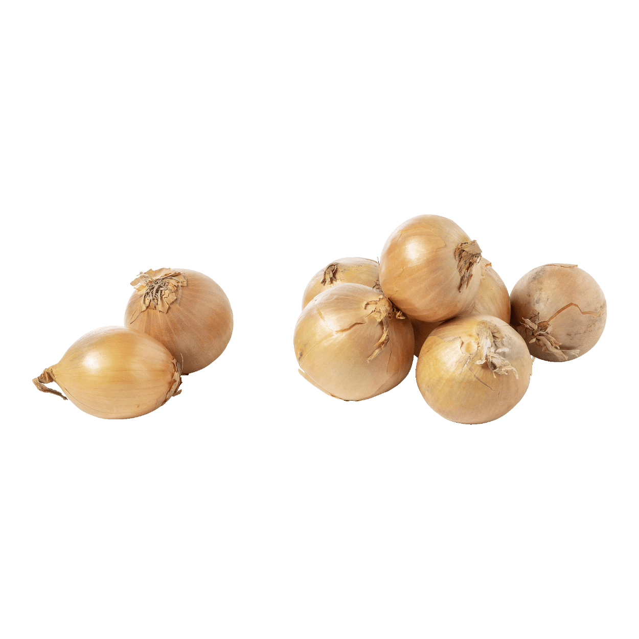 Oignons bon marché chez ALDI