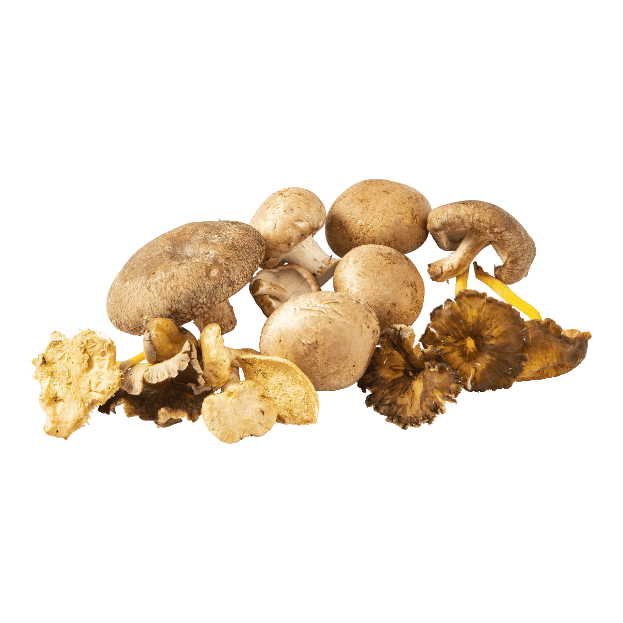 Mélange forestier bon marché chez ALDI