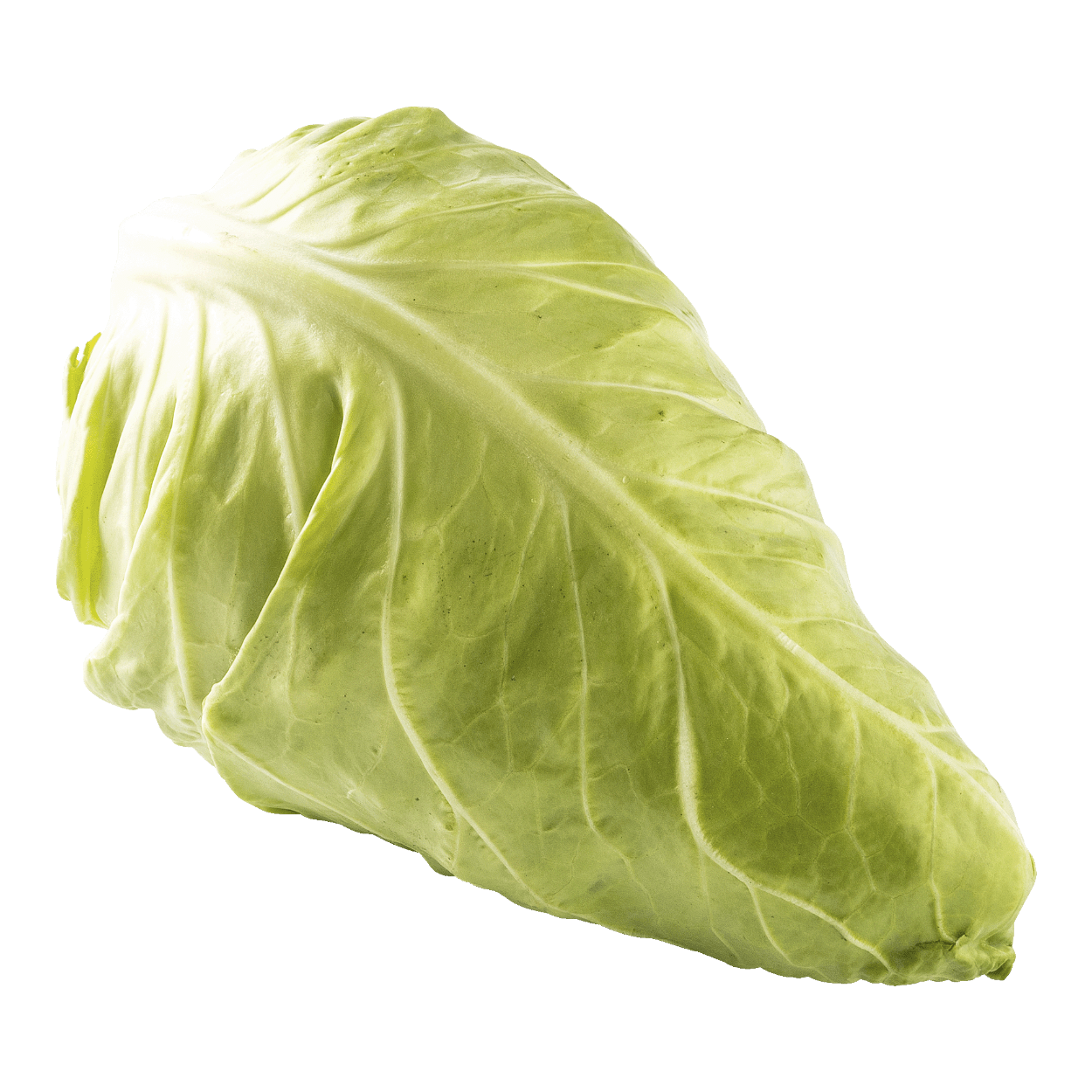 Weißer Spitzkohl günstig bei ALDI