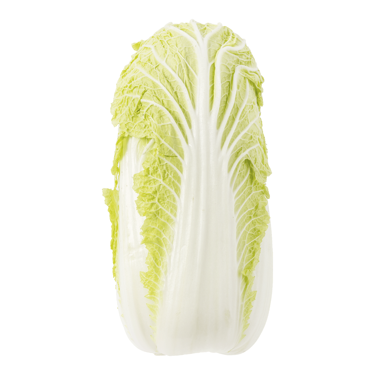 Chinakohl günstig bei ALDI